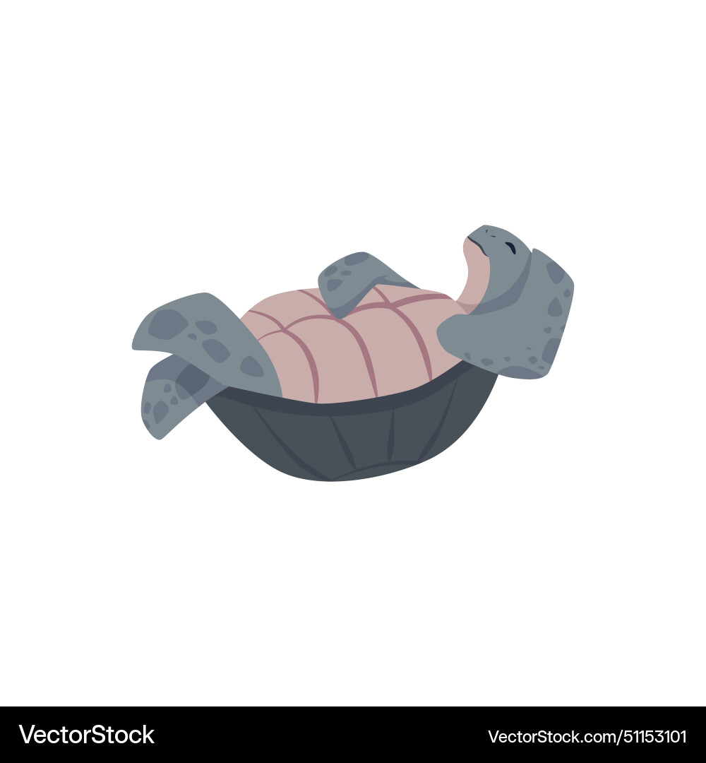 Cute sea or ocean turtle animal flat style Vector Image