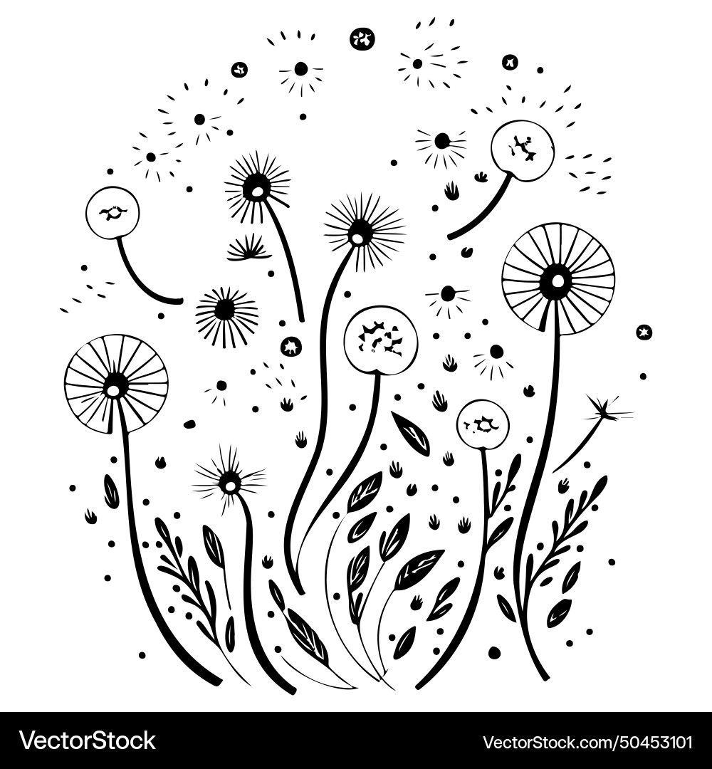 Doodle dandelions with flying seed sketch hand Vector Image