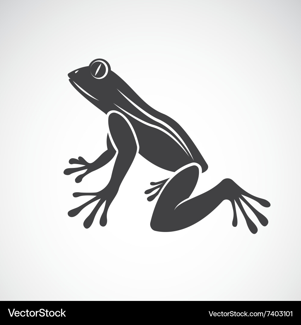 Frog Royalty Free Vector Image - VectorStock