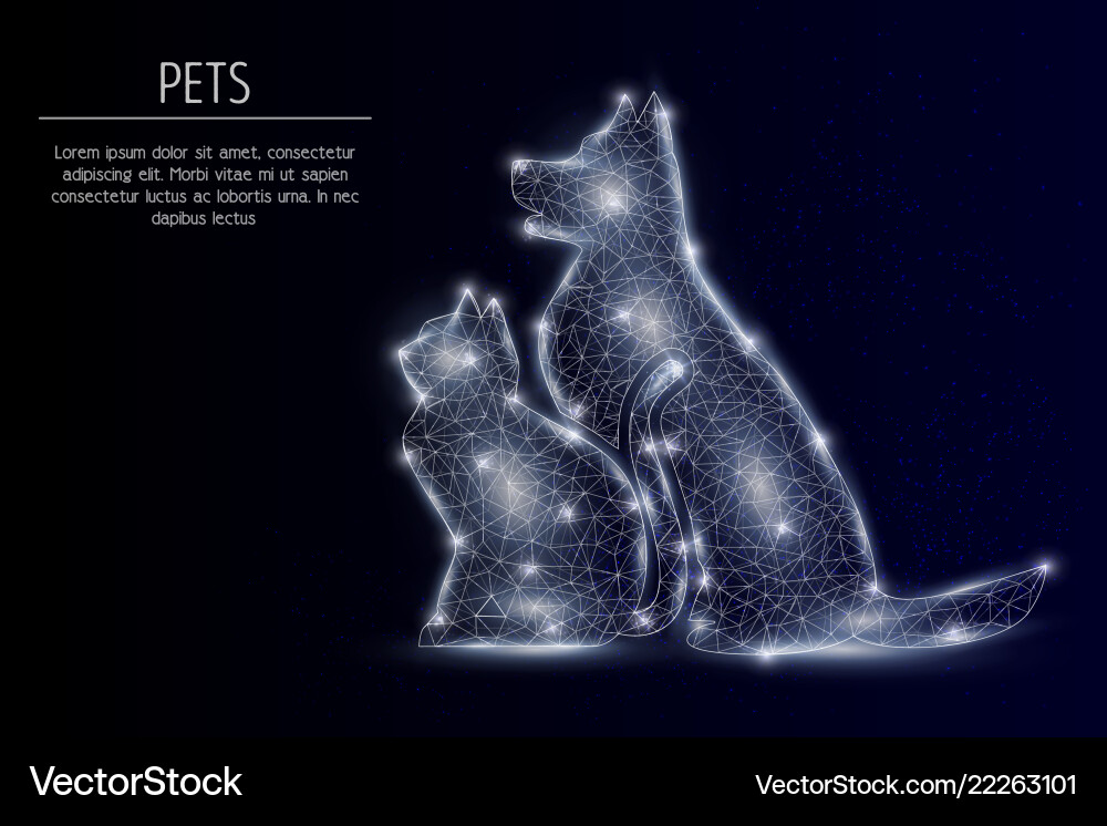 Cat Wireframe Abstract Vector Images (over 110)