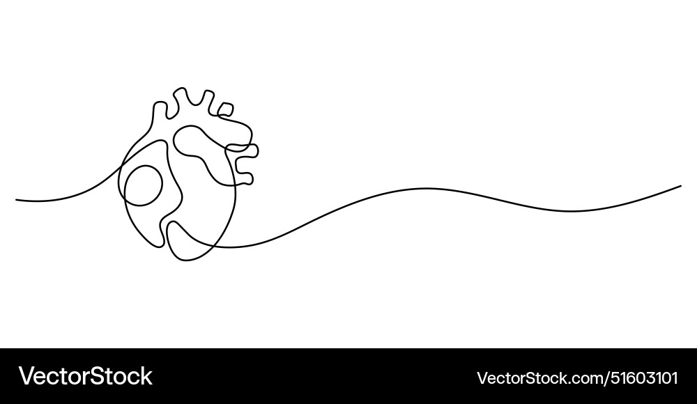 Human heart internal organ in continuous line Vector Image