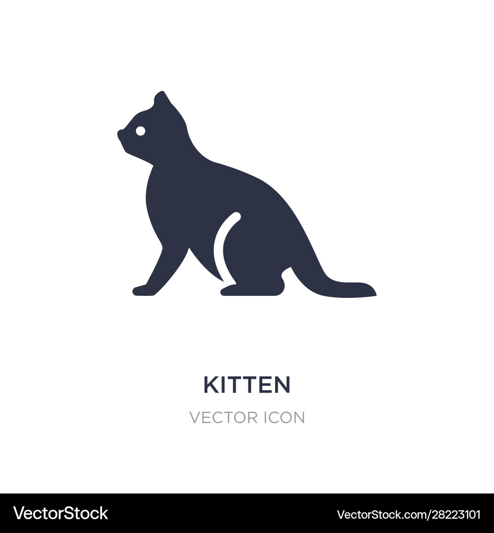 Kitten icon on white background simple element Vector Image