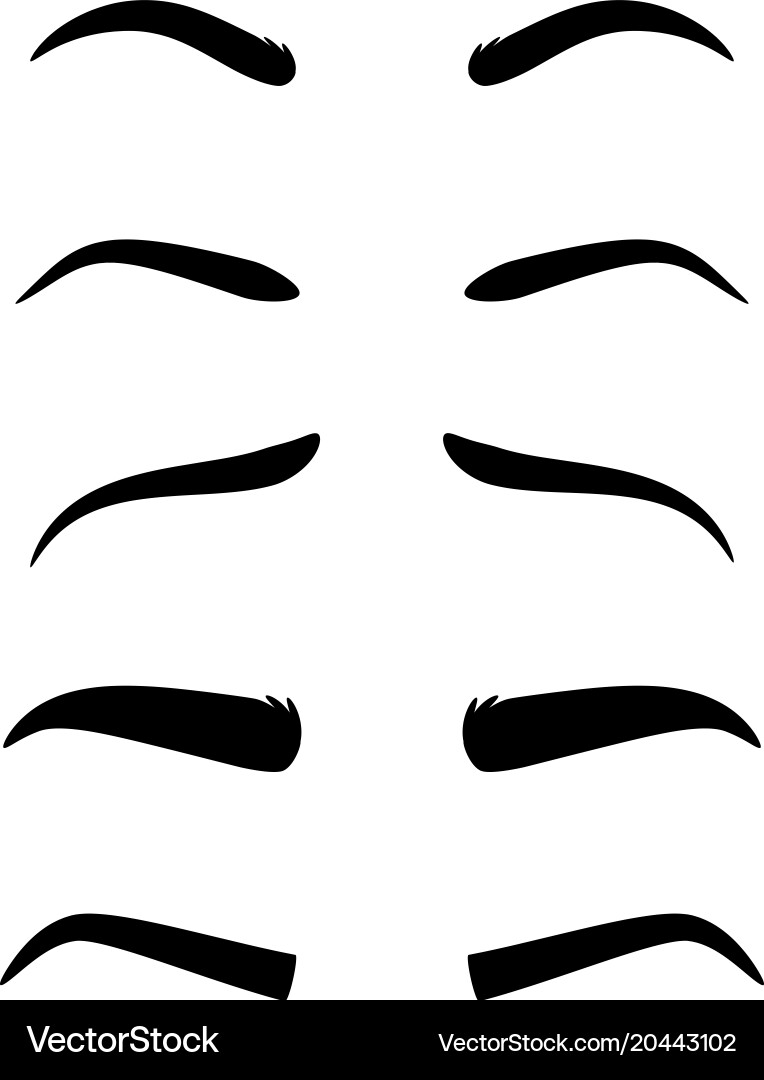 Eyebrow model set Royalty Free Vector Image - VectorStock