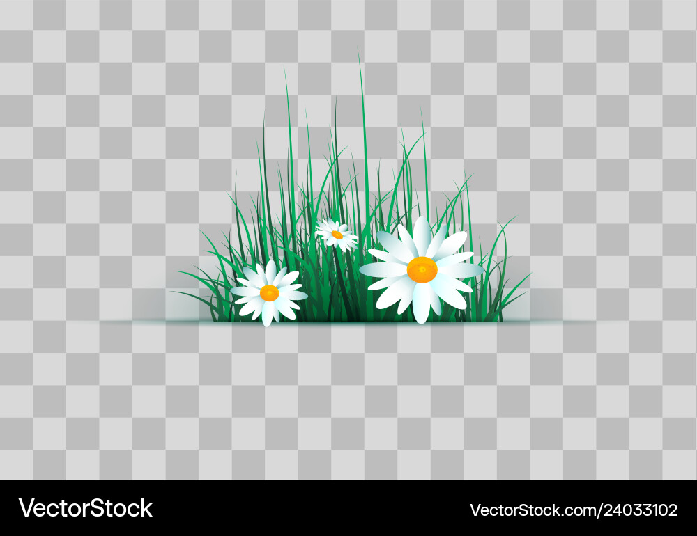 Green grass on a transparent Royalty Free Vector Image