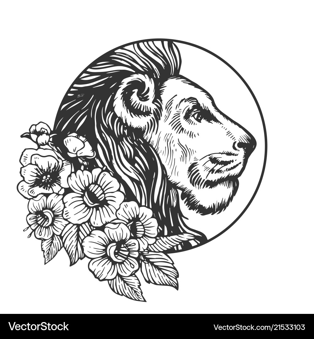 Lion Head Scratch Board Royalty Free Vector Image