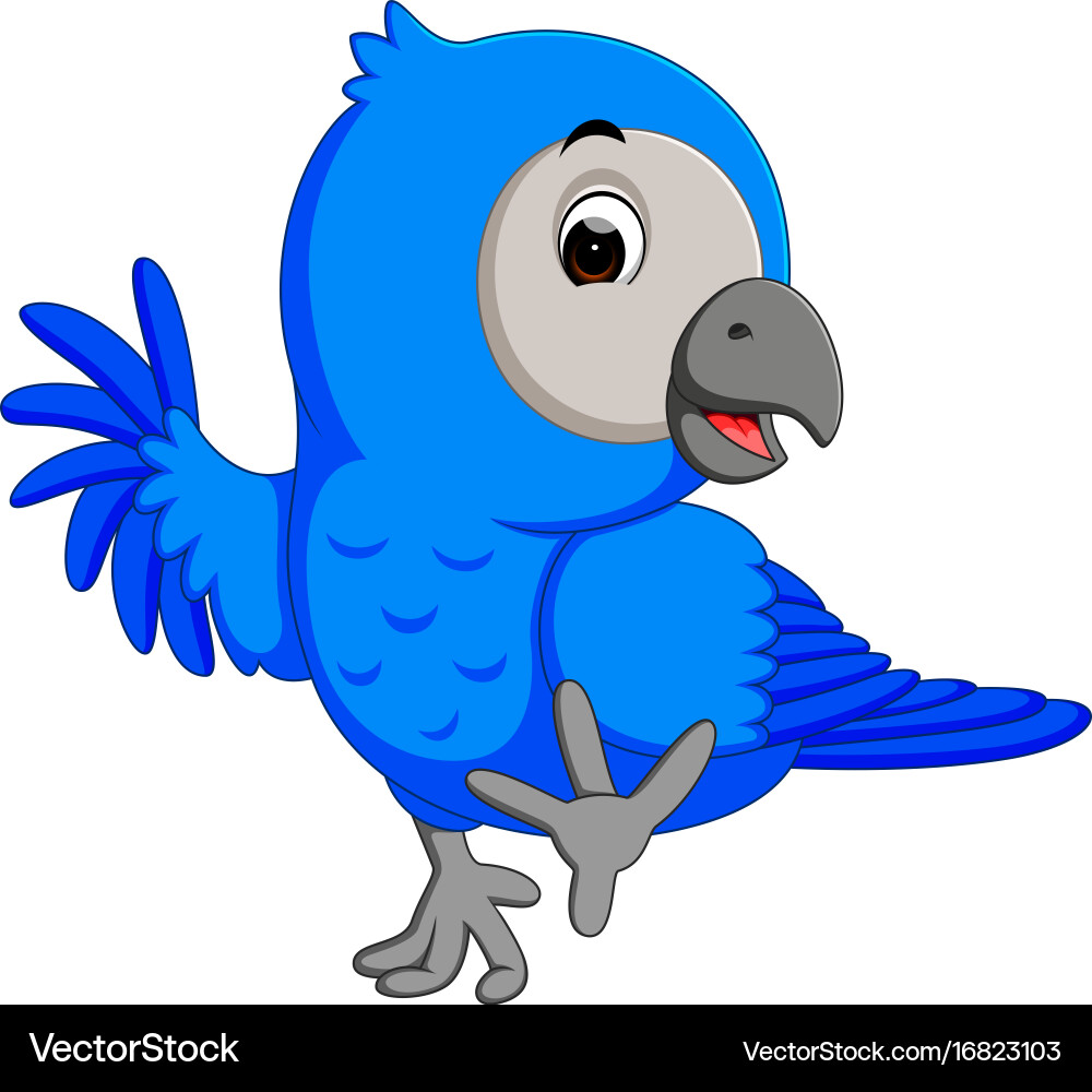 Macaw bird cartoon Royalty Free Vector Image - VectorStock
