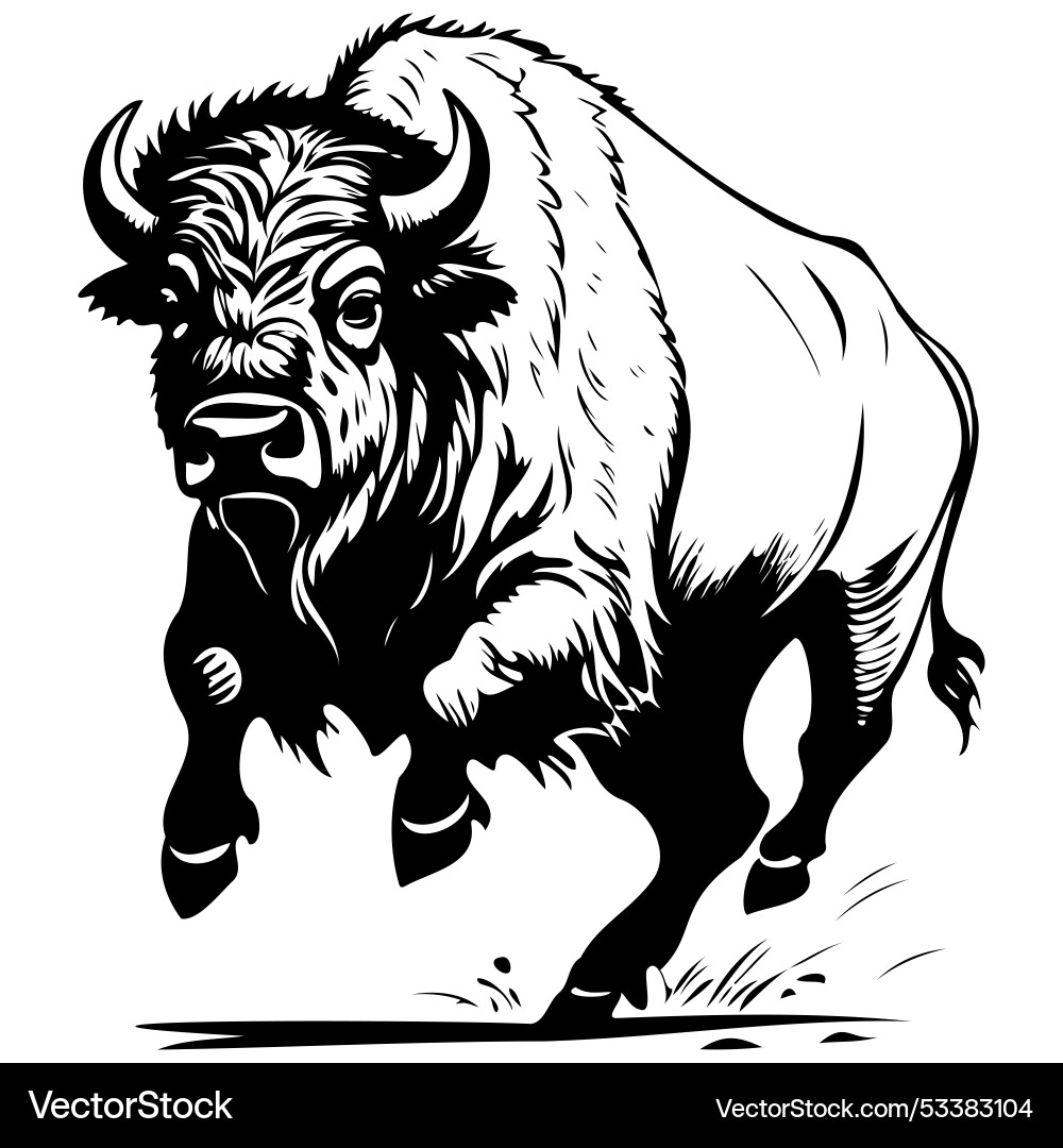 Bison jump drawing realistic outline animal Vector Image