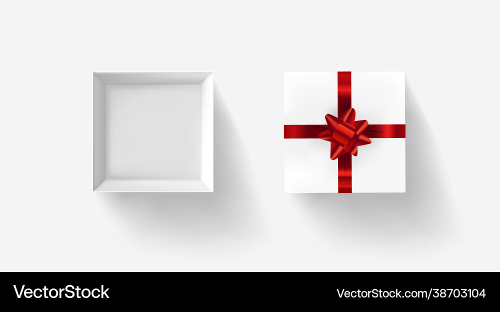 White gift box opened and closed isolated Vector Image
