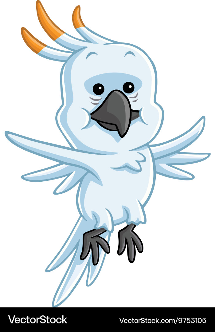Cockatoo cartoon Royalty Free Vector Image - VectorStock
