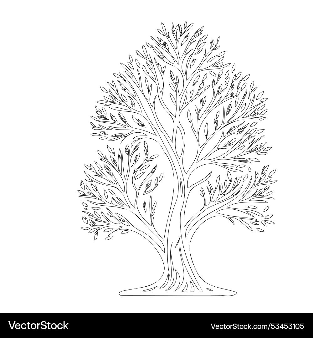 Willow tree nature outline sketch Royalty Free Vector Image