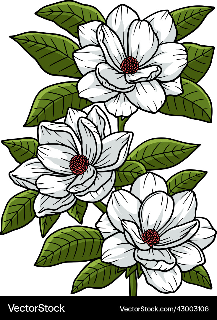 Magnolia flower cartoon colored clipart Royalty Free Vector