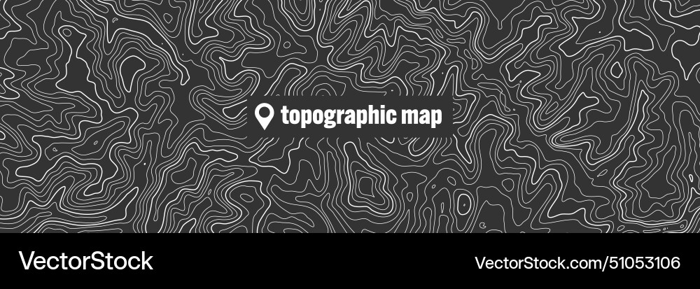 Topographic map with contour lines geographic Vector Image