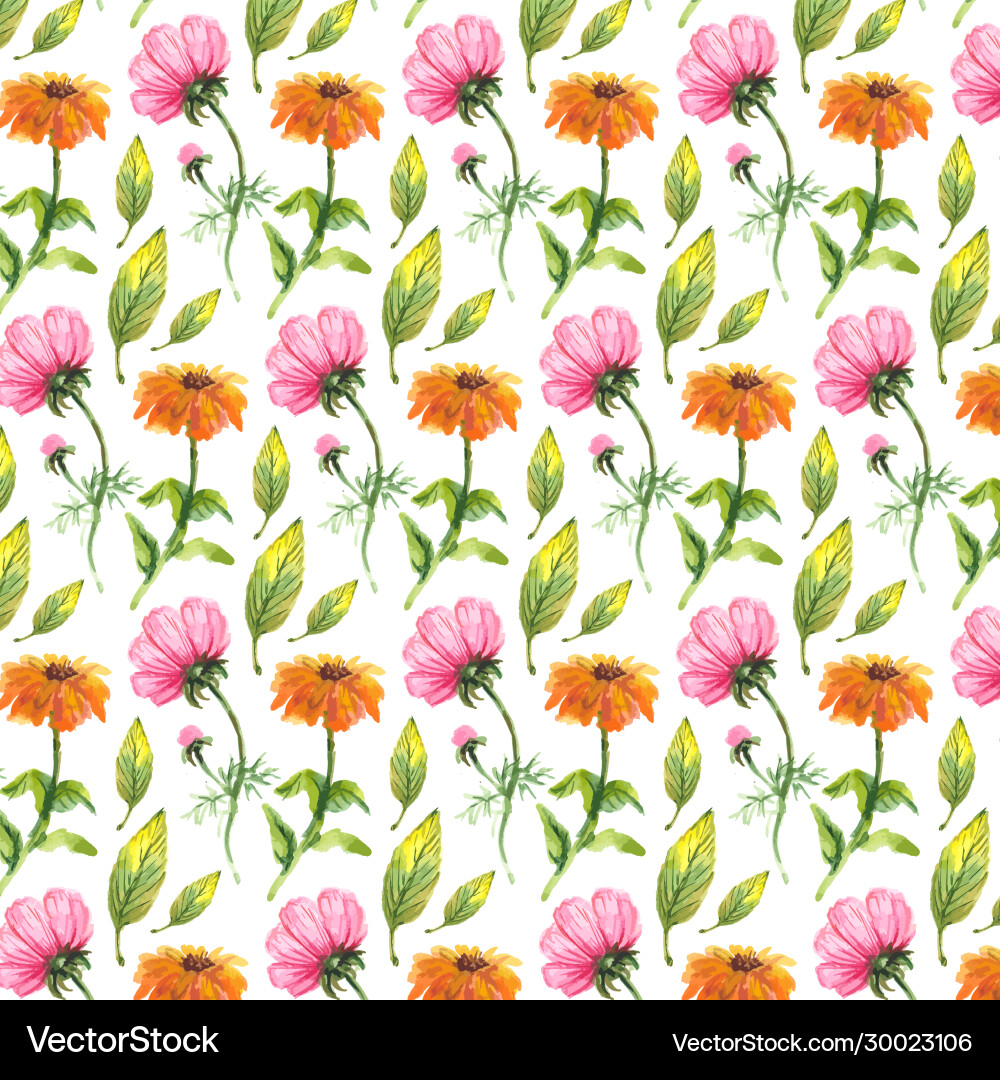 Watercolor Wildflower Pattern Royalty Free Vector Image