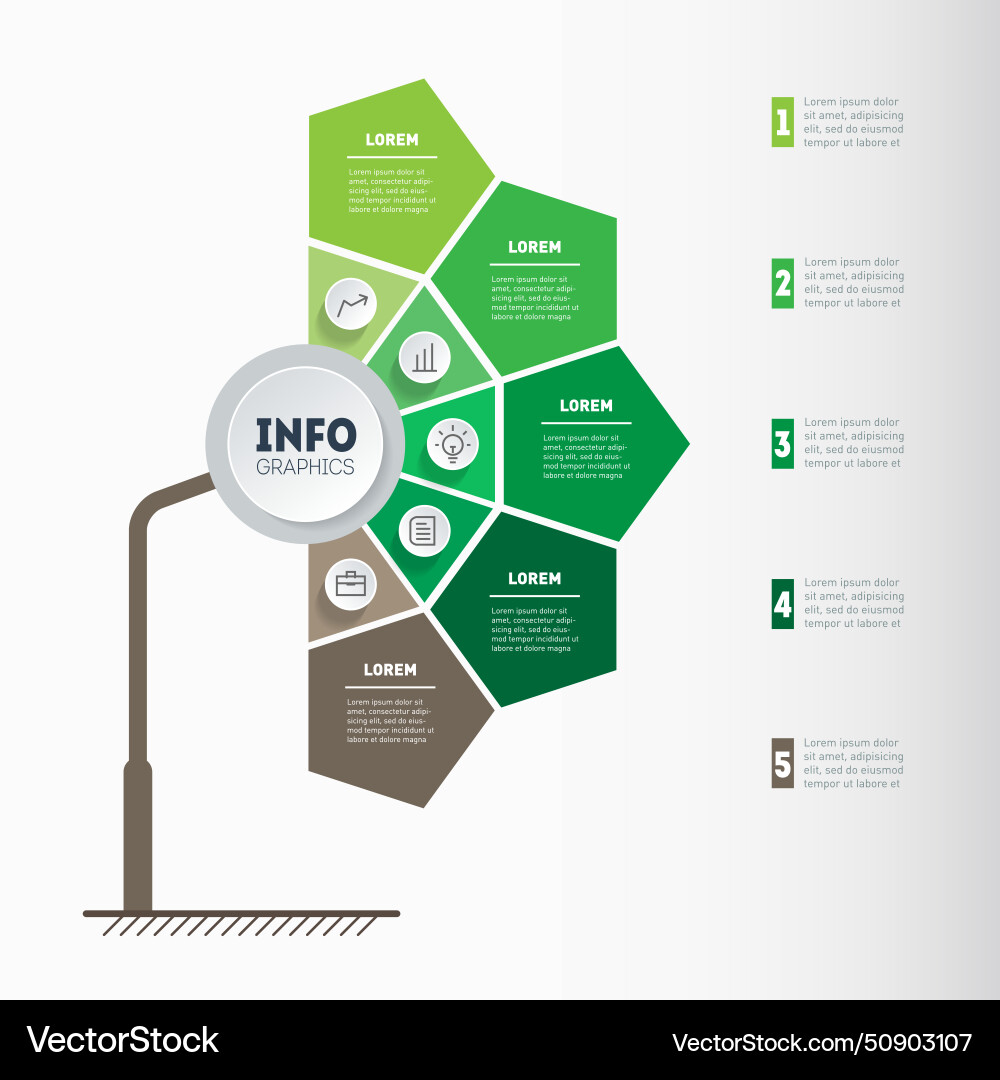 Growth and development of ecosystem info graphic Vector Image