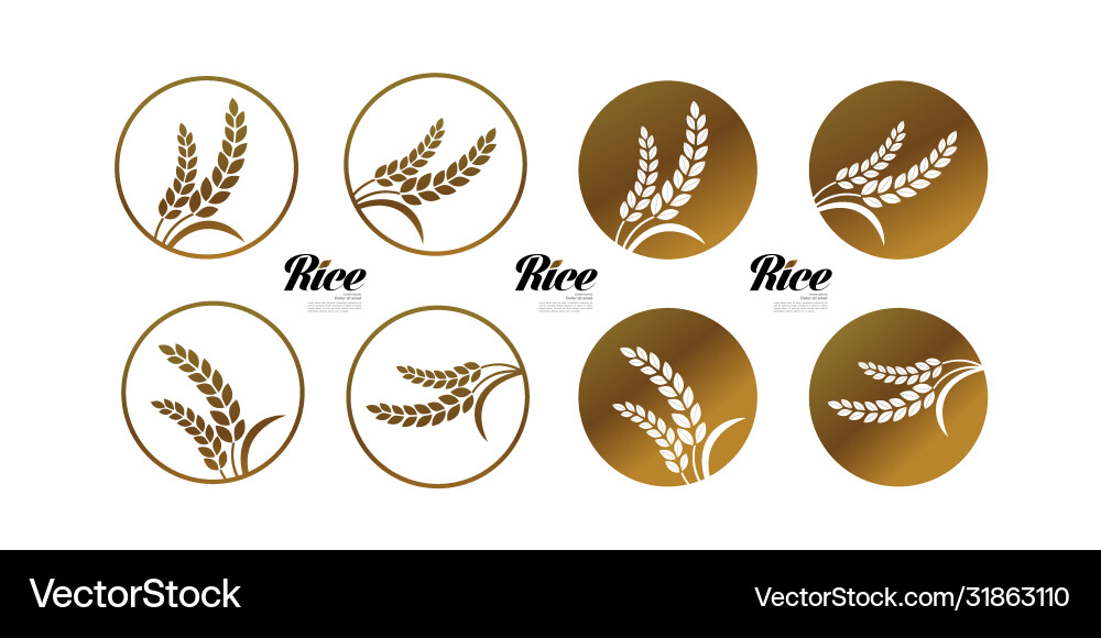 Premium rice great quality Royalty Free Vector Image