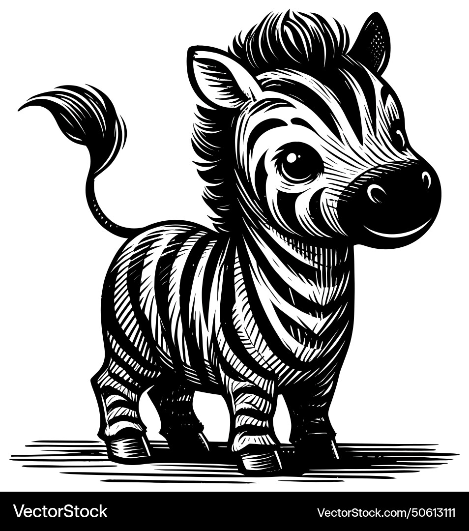Baby zebra linocut Royalty Free Vector Image - VectorStock
