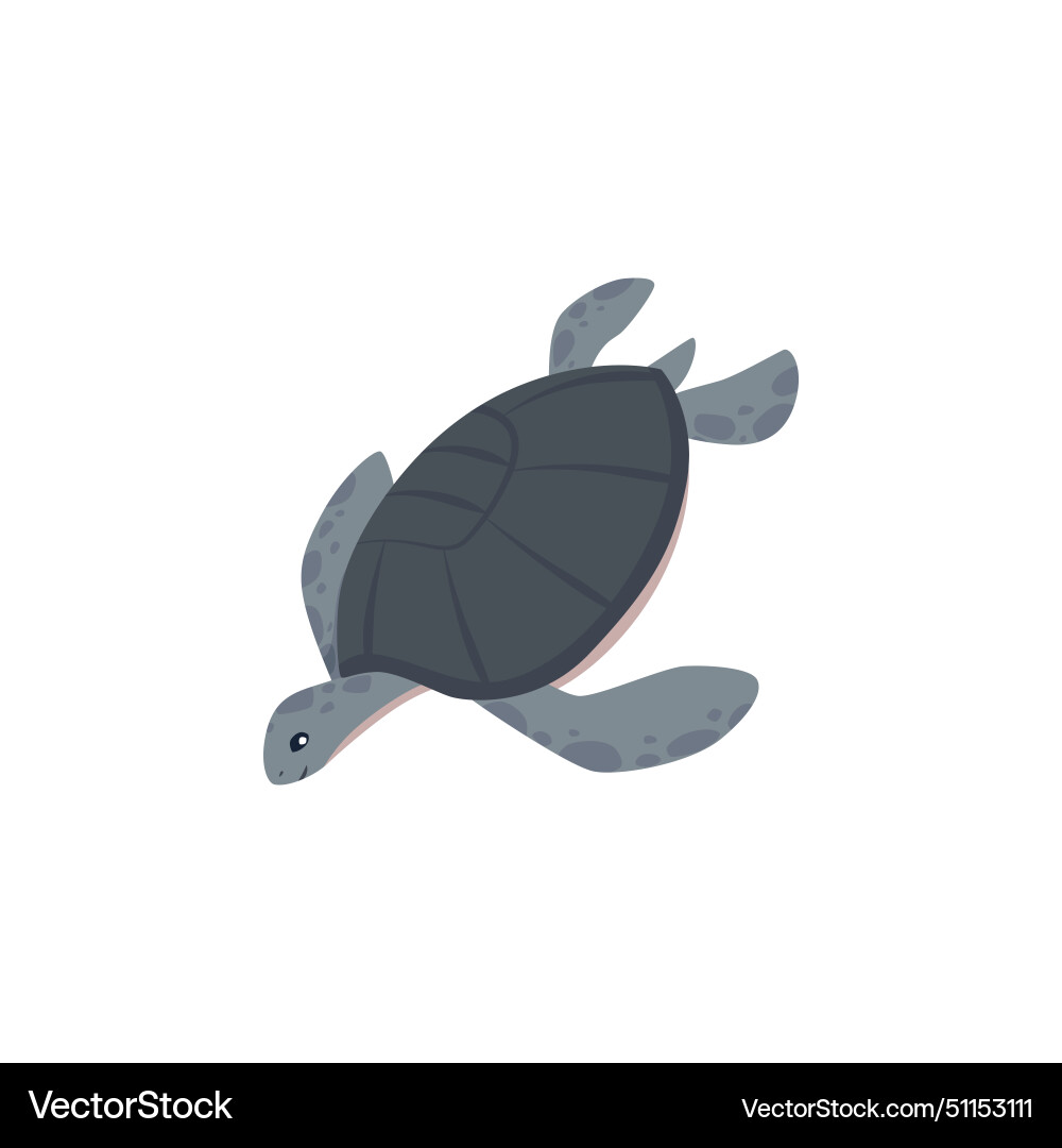 Cute sea turtle icon cartoon grey tortoise Vector Image