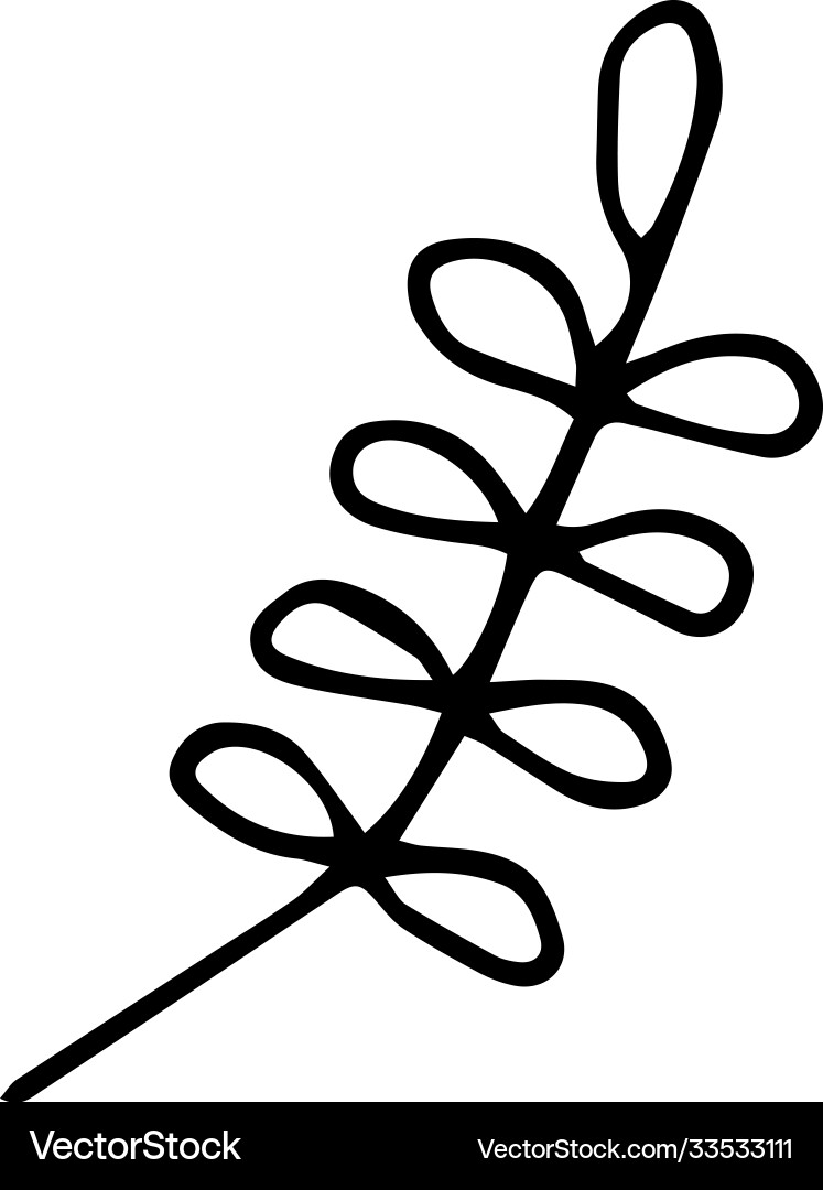 Doodle branch with leaves Royalty Free Vector Image