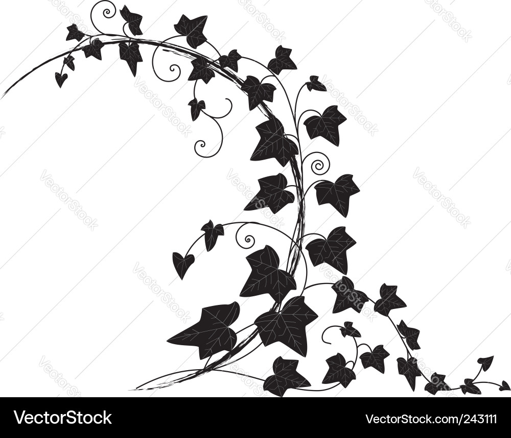 Border Ivy Vector Images (over 1,400)