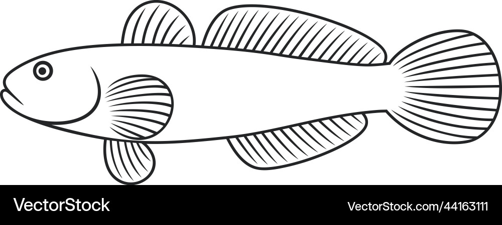 Sea goby Royalty Free Vector Image - VectorStock