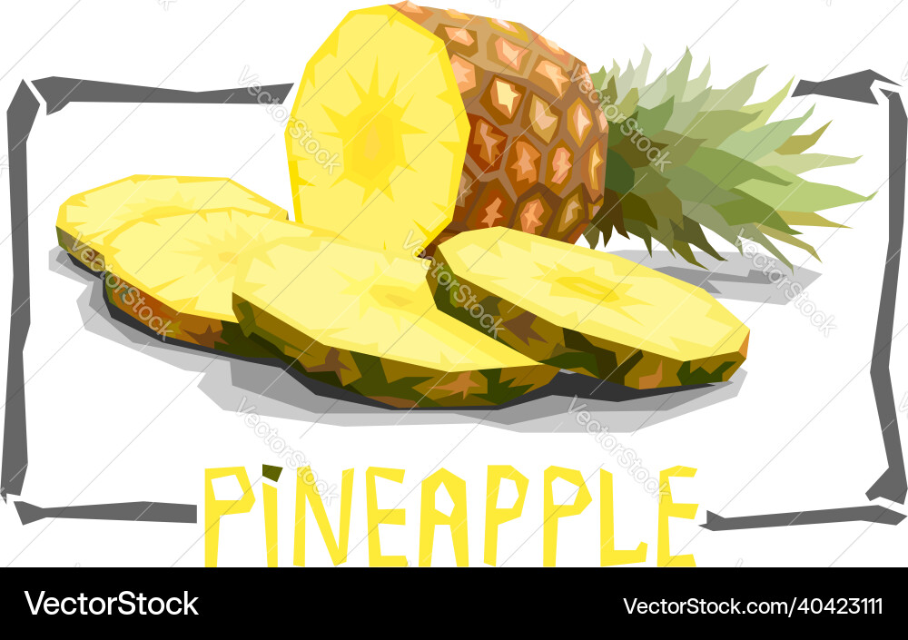 Simple of pineapple Royalty Free Vector Image - VectorStock