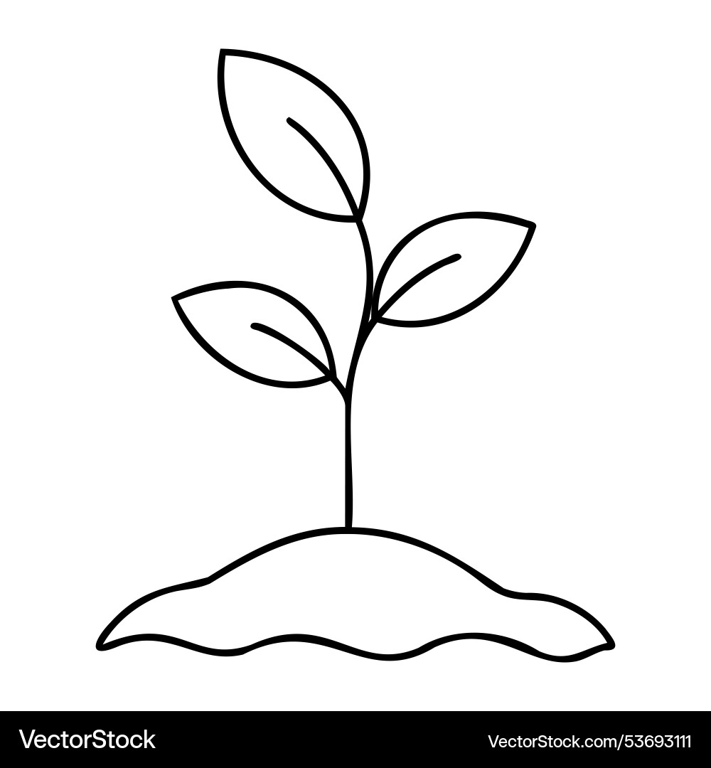 Tree one line art modern Royalty Free Vector Image