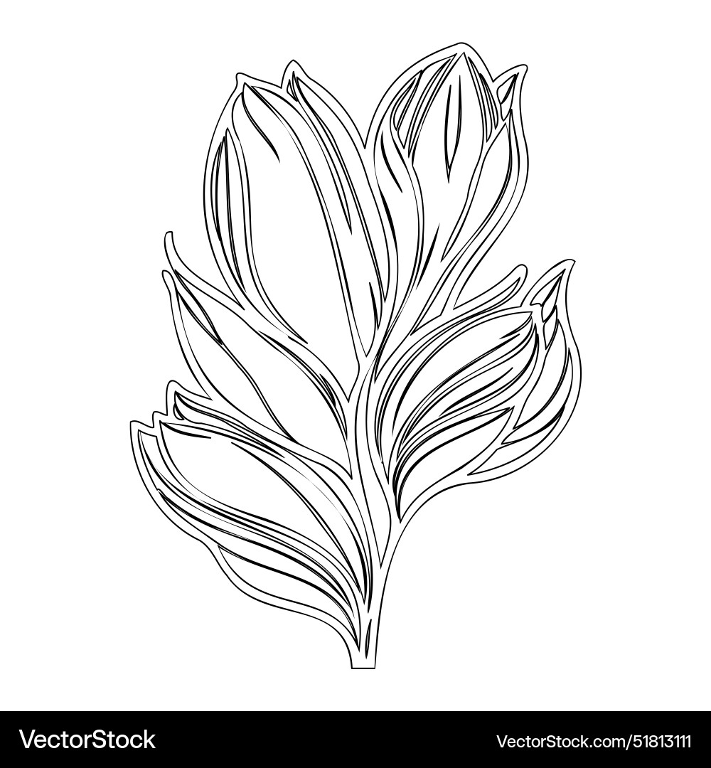 Tulip flower outline sketch Royalty Free Vector Image