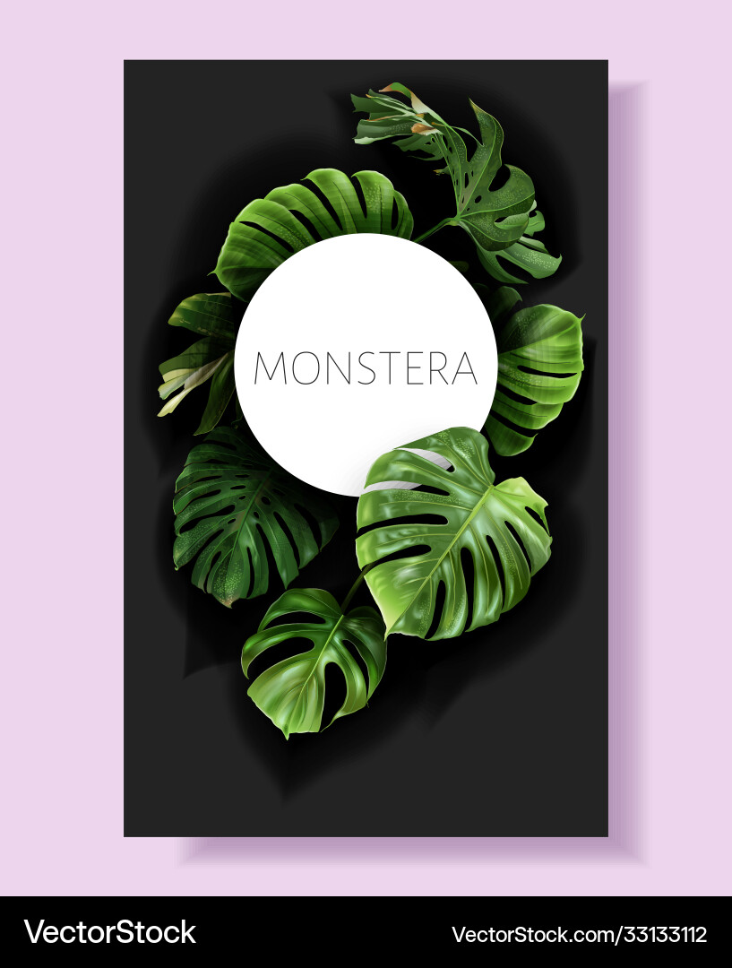 Monstera frame with green tropical leaves Vector Image