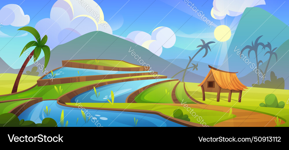 Rice field terrace with watered ground Royalty Free Vector