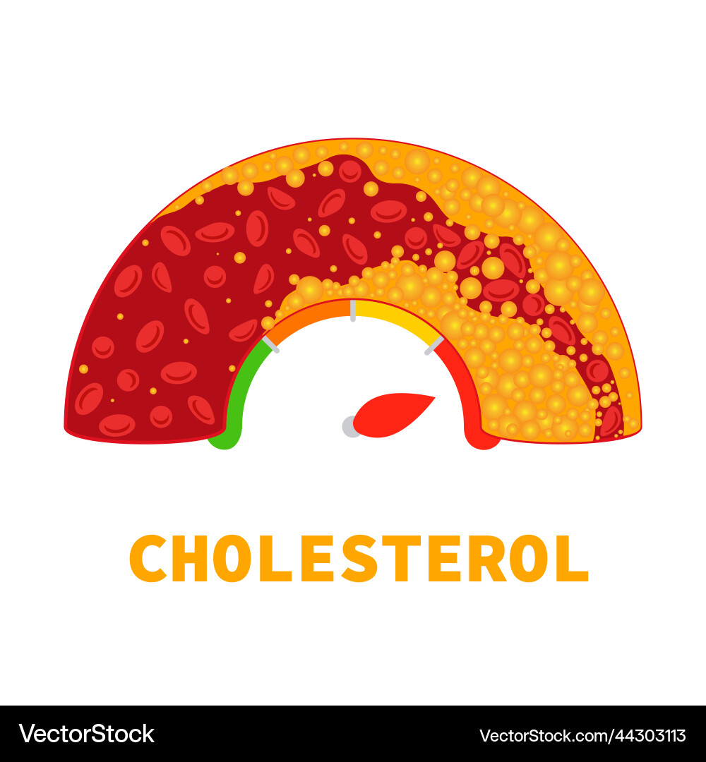 Cholesterol level meter gauge with blood vessel Vector Image