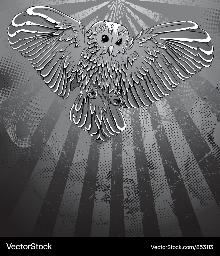 Rustic Owl on Grunge Texture Royalty Free Vector Image
