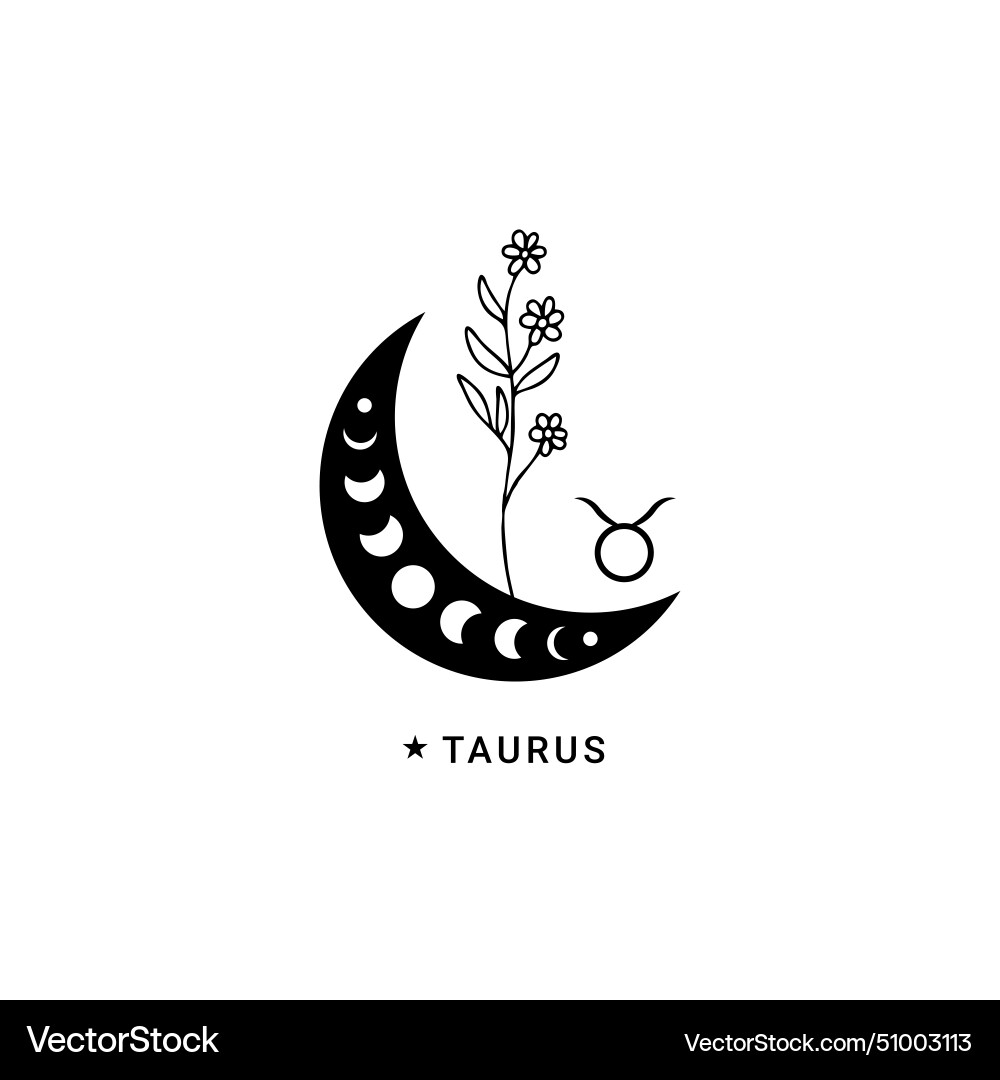 Taurus zodiac sign with moon phase and flower Vector Image