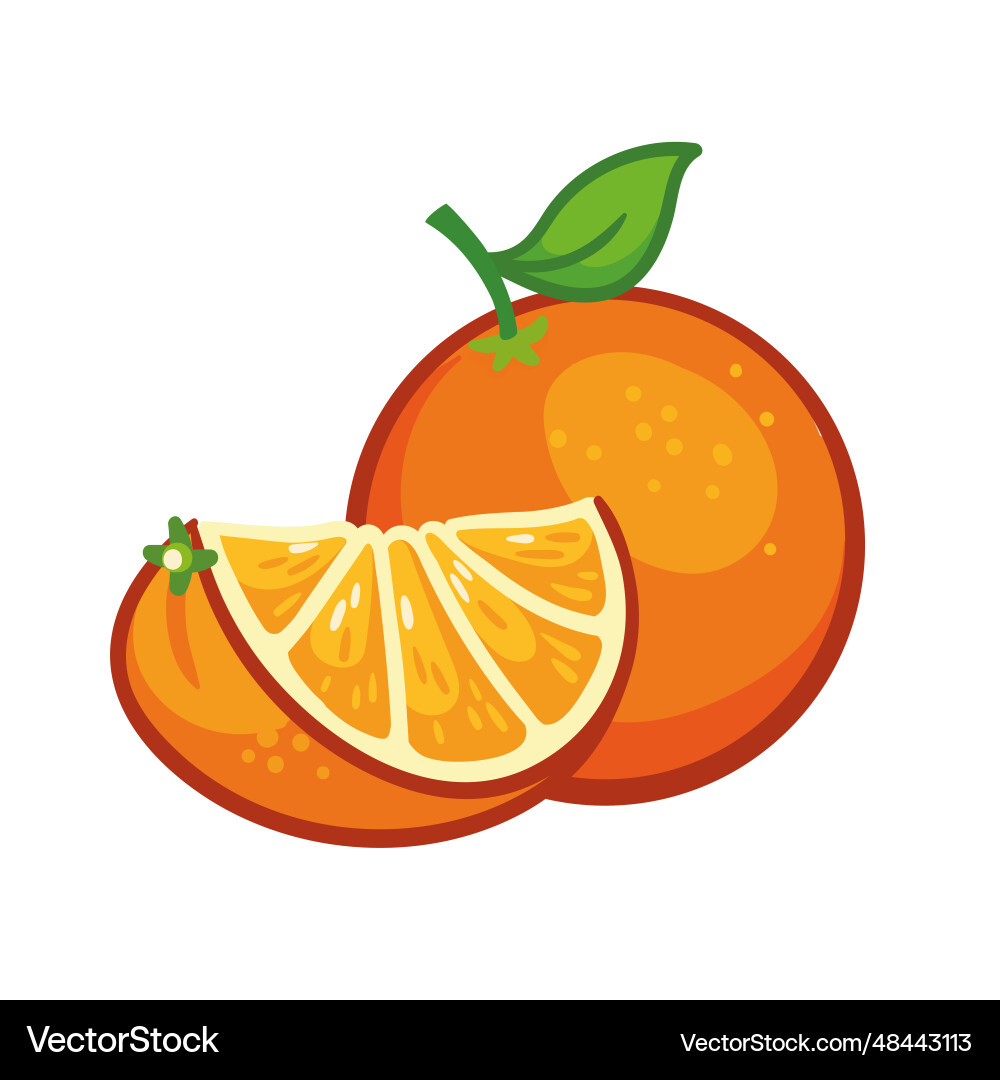 Whole orange and its cut slice on a white Vector Image