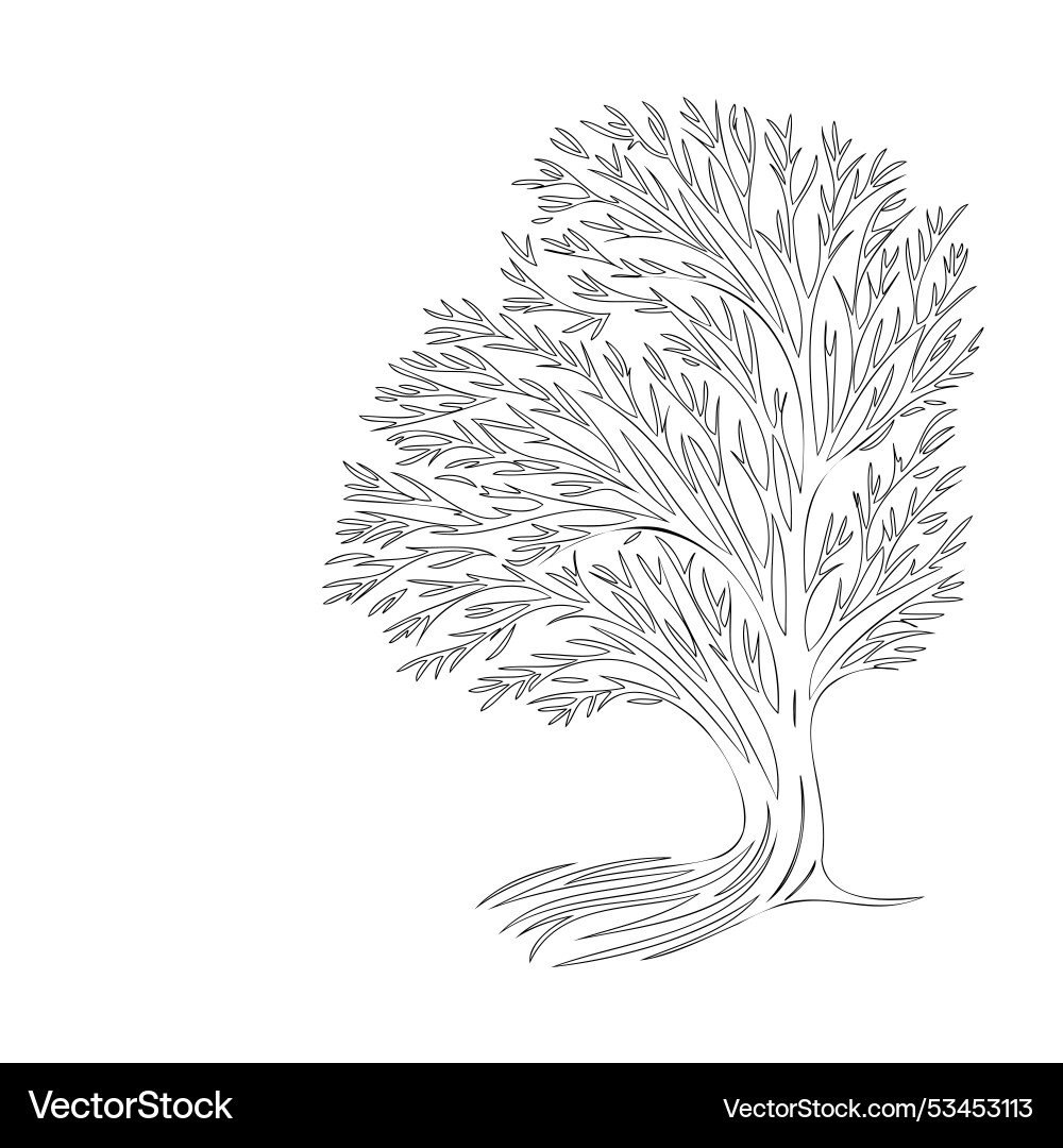 Willow tree nature outline sketch Royalty Free Vector Image
