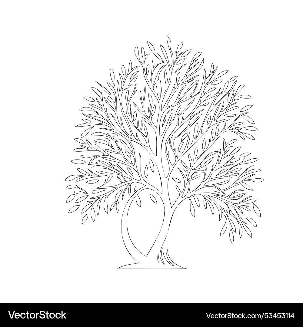 Willow tree nature outline sketch Royalty Free Vector Image