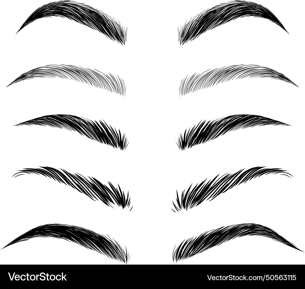 Eyebrows set beauty collection female Royalty Free Vector
