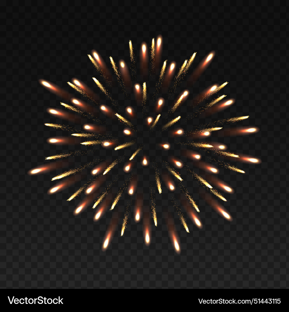 Golden firework coconut shape realistic – Royalty-Free Vector | VectorStock