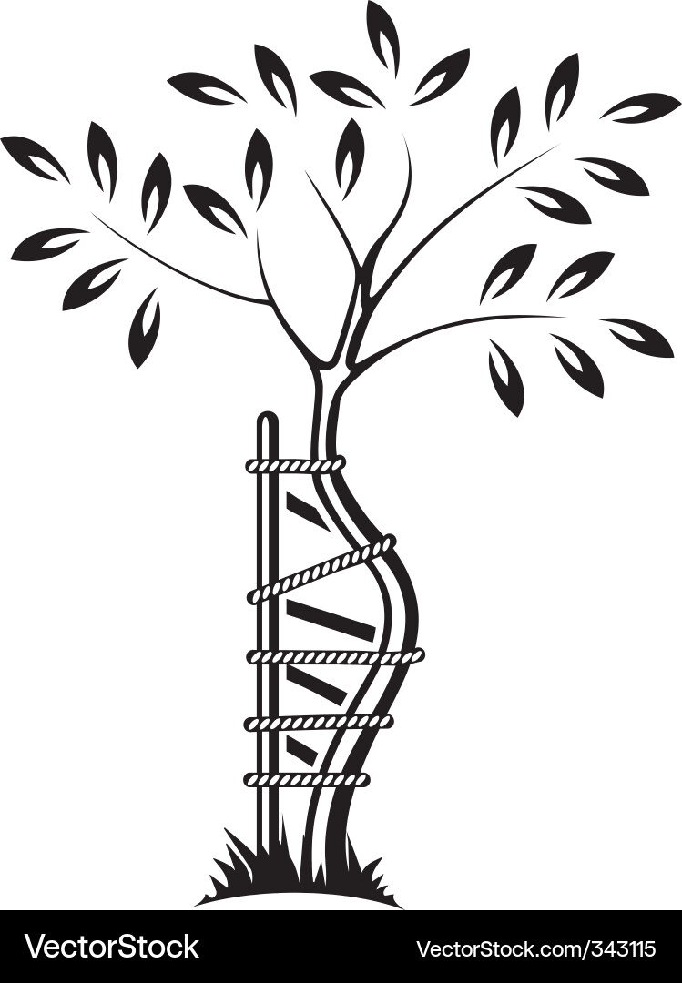 Spine Tree Vector Images (over 500)