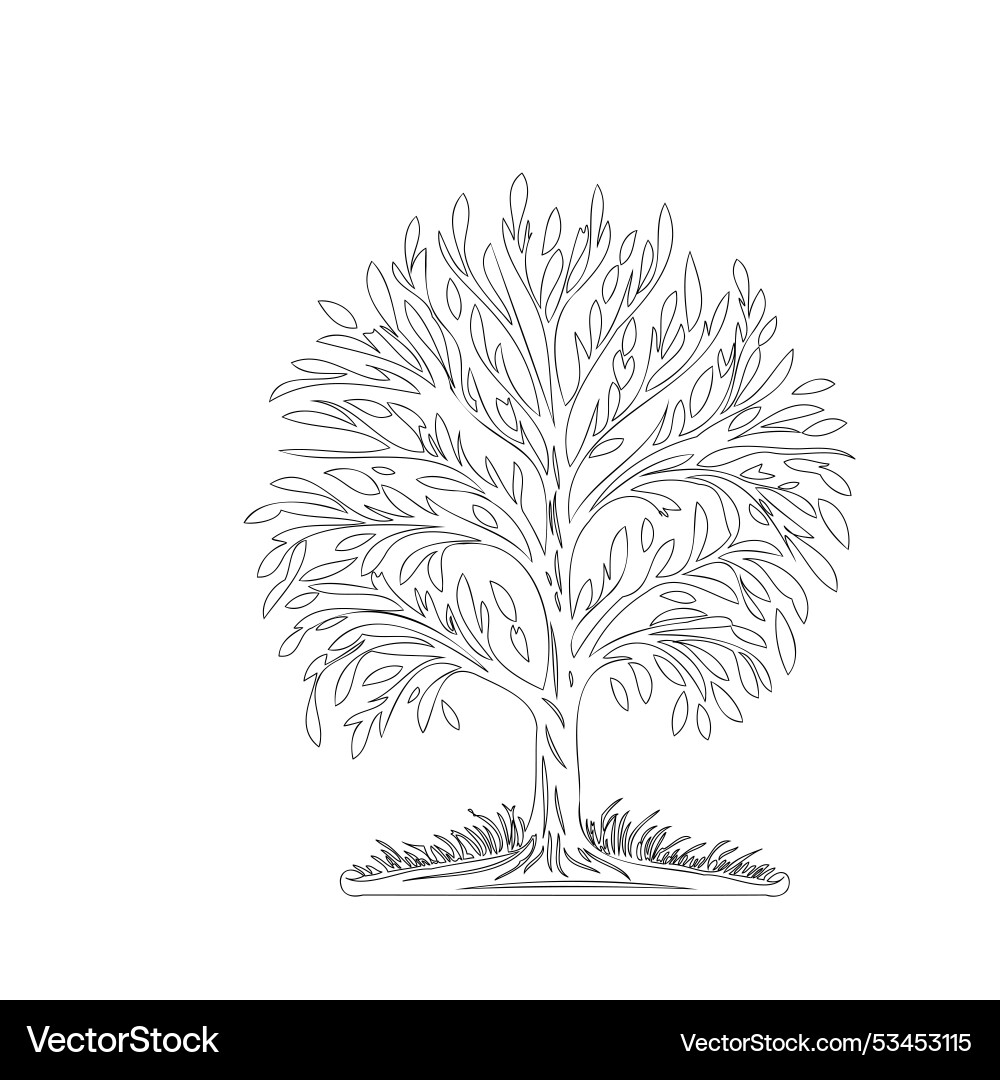 Willow tree nature outline sketch Royalty Free Vector Image