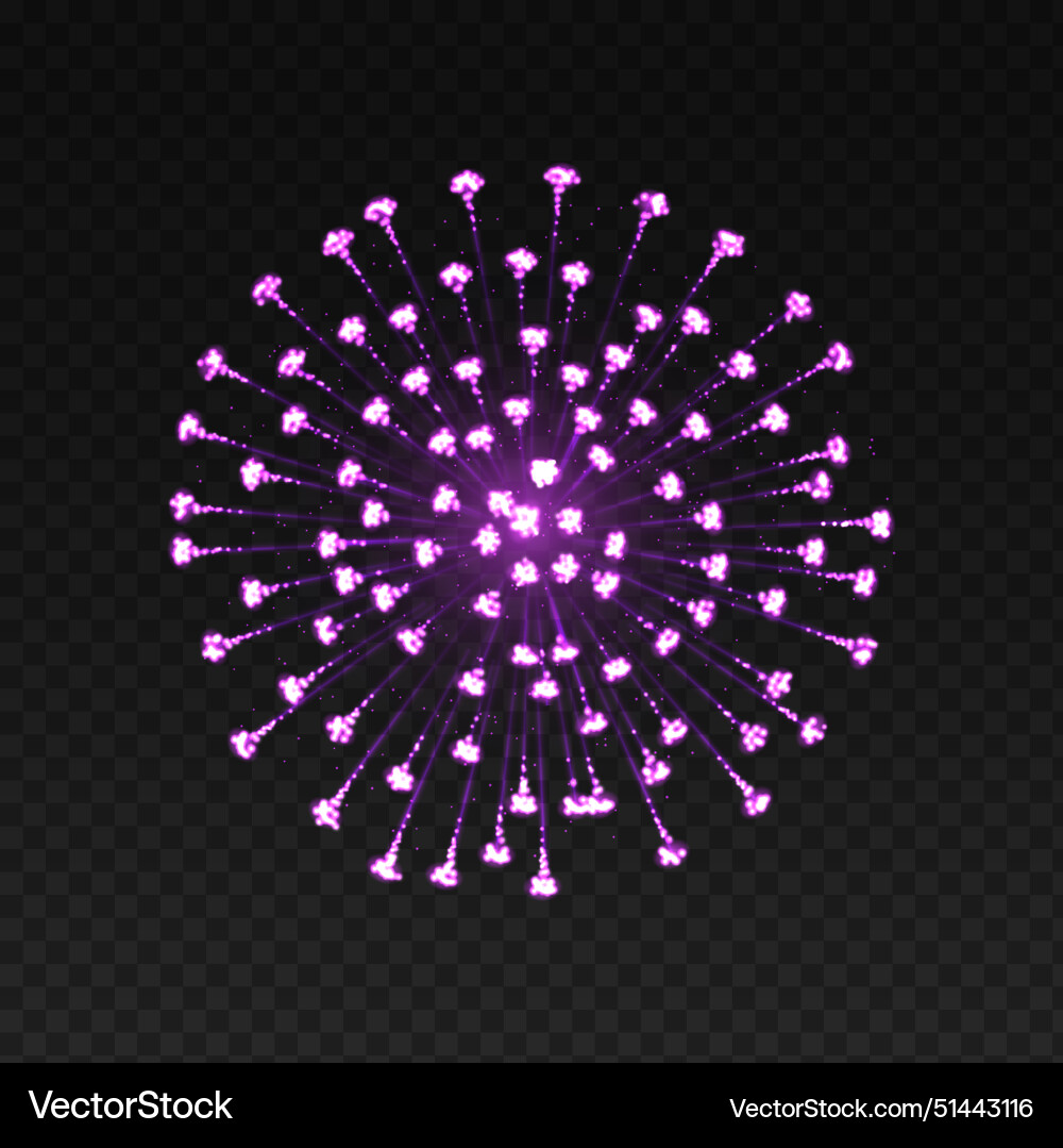 Shimmering pink firework burst realistic Vector Image