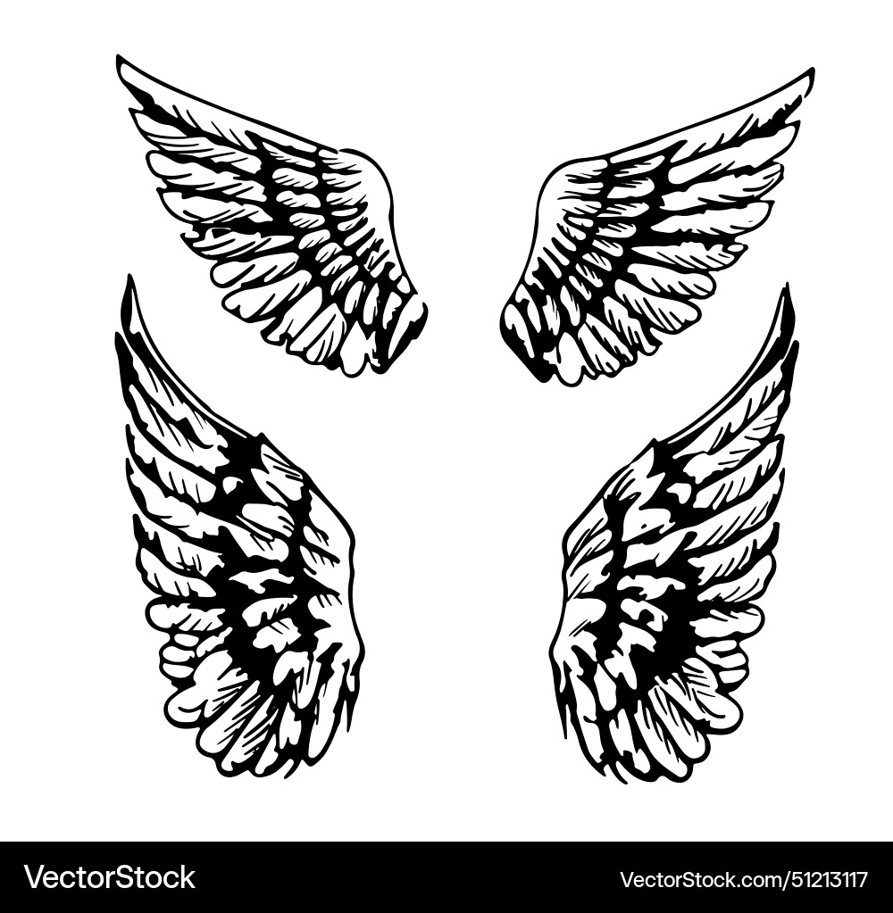 Wings hand drawn detailed collection Royalty Free Vector