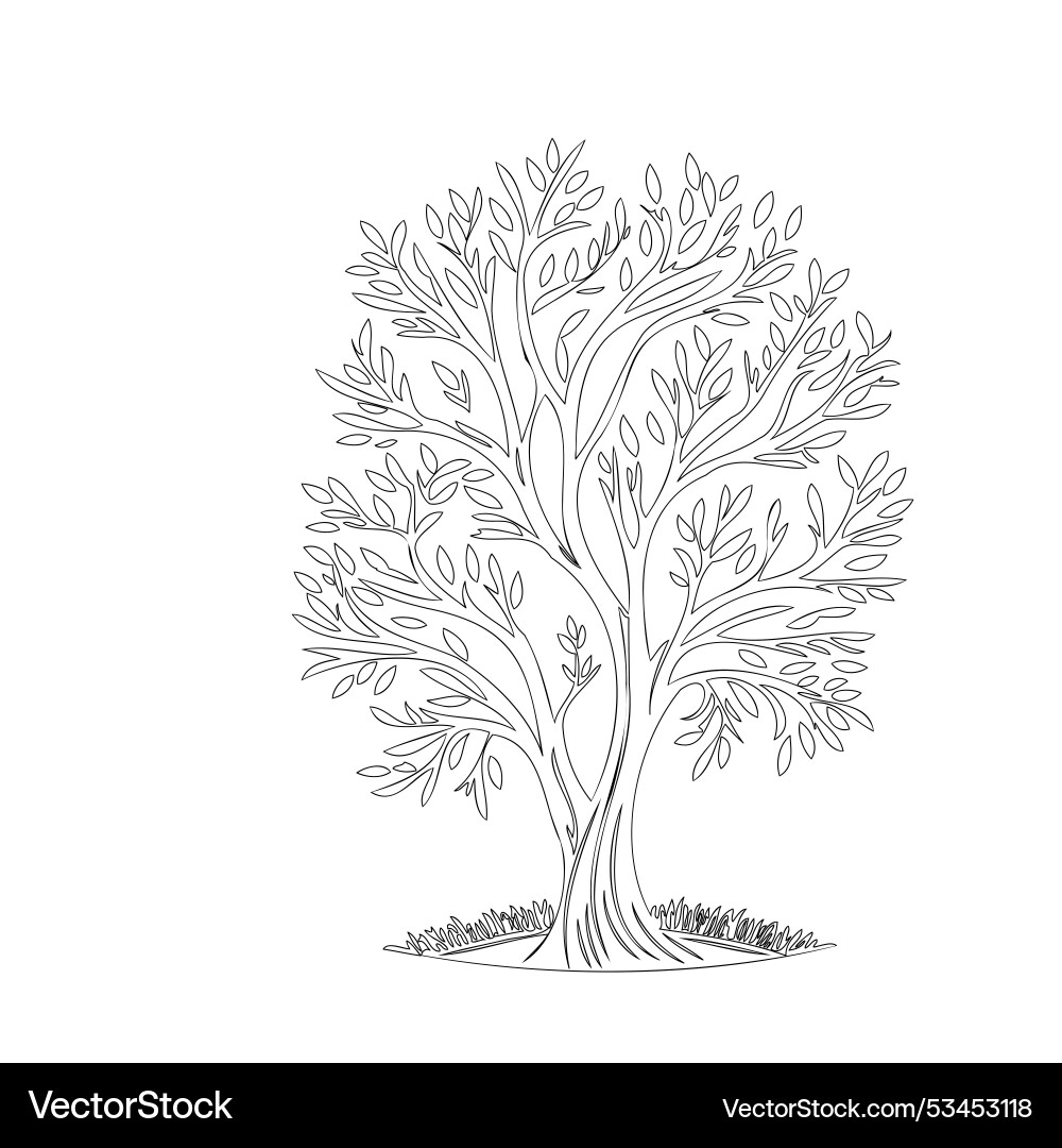Willow tree nature outline sketch Royalty Free Vector Image