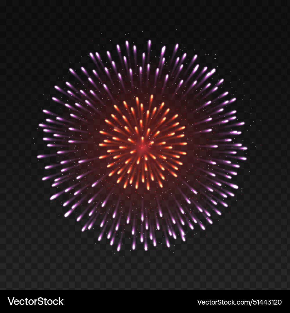Firework peony shape burst realistic Royalty Free Vector
