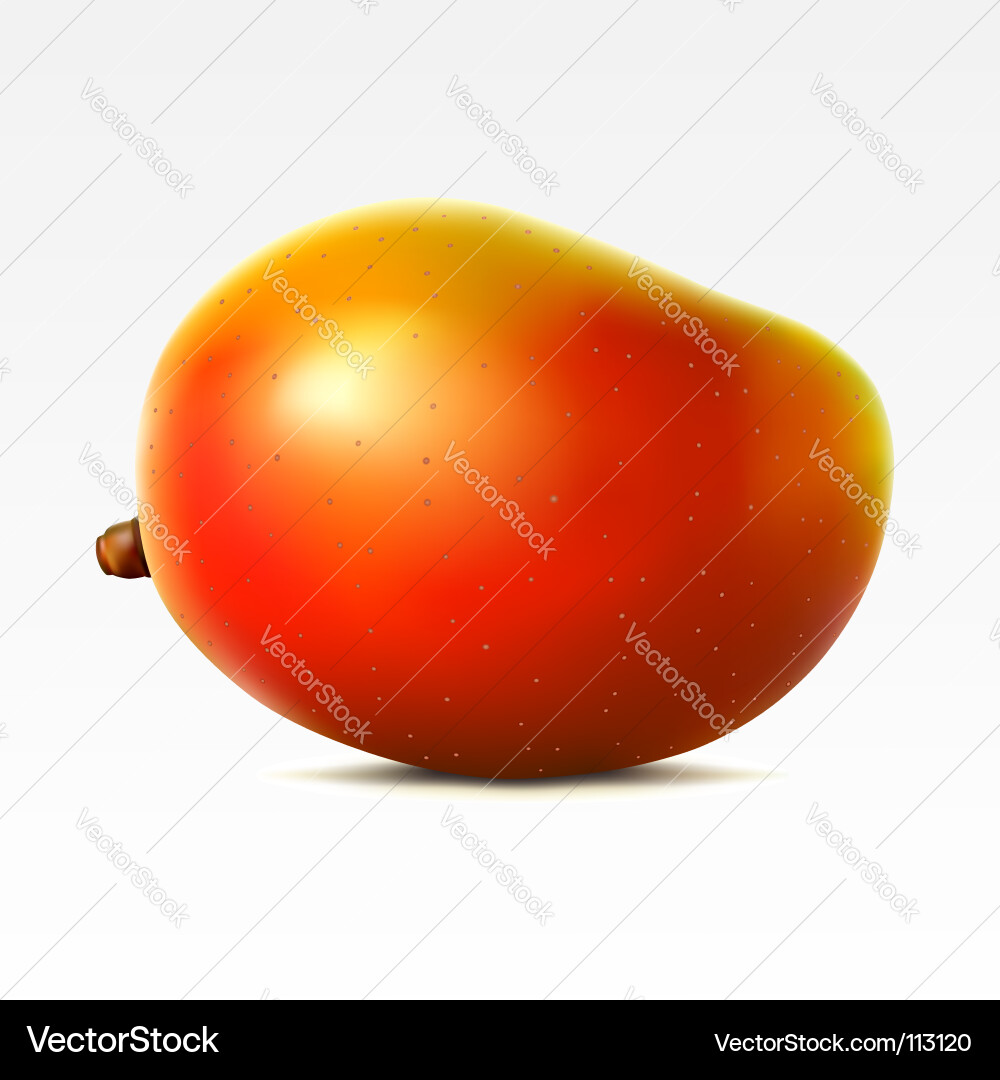 Mango Royalty Free Vector Image - VectorStock