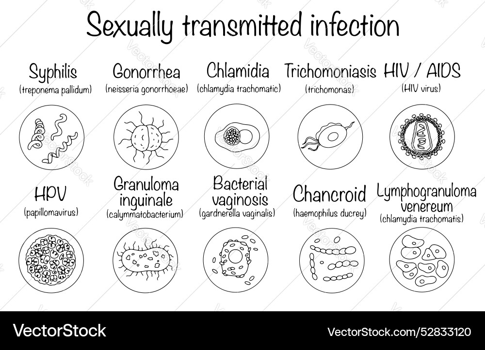 Sexually transmitted infection Royalty Free Vector Image