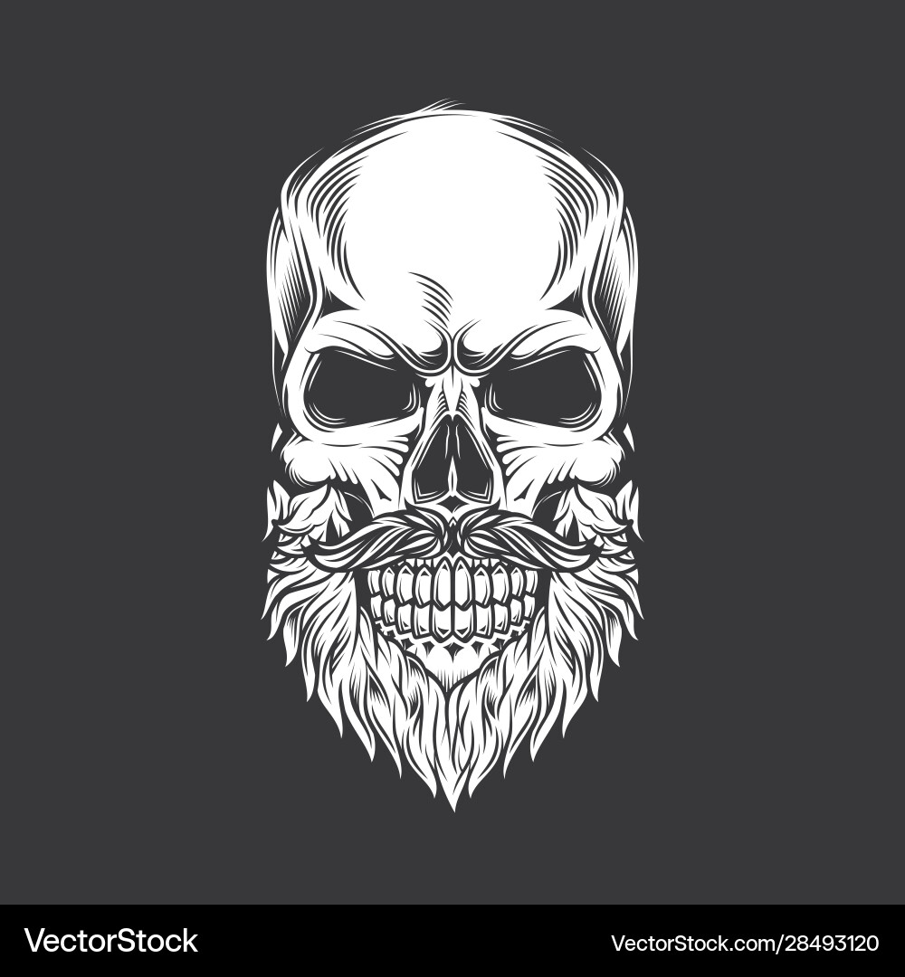 Skull and beard Royalty Free Vector Image - VectorStock
