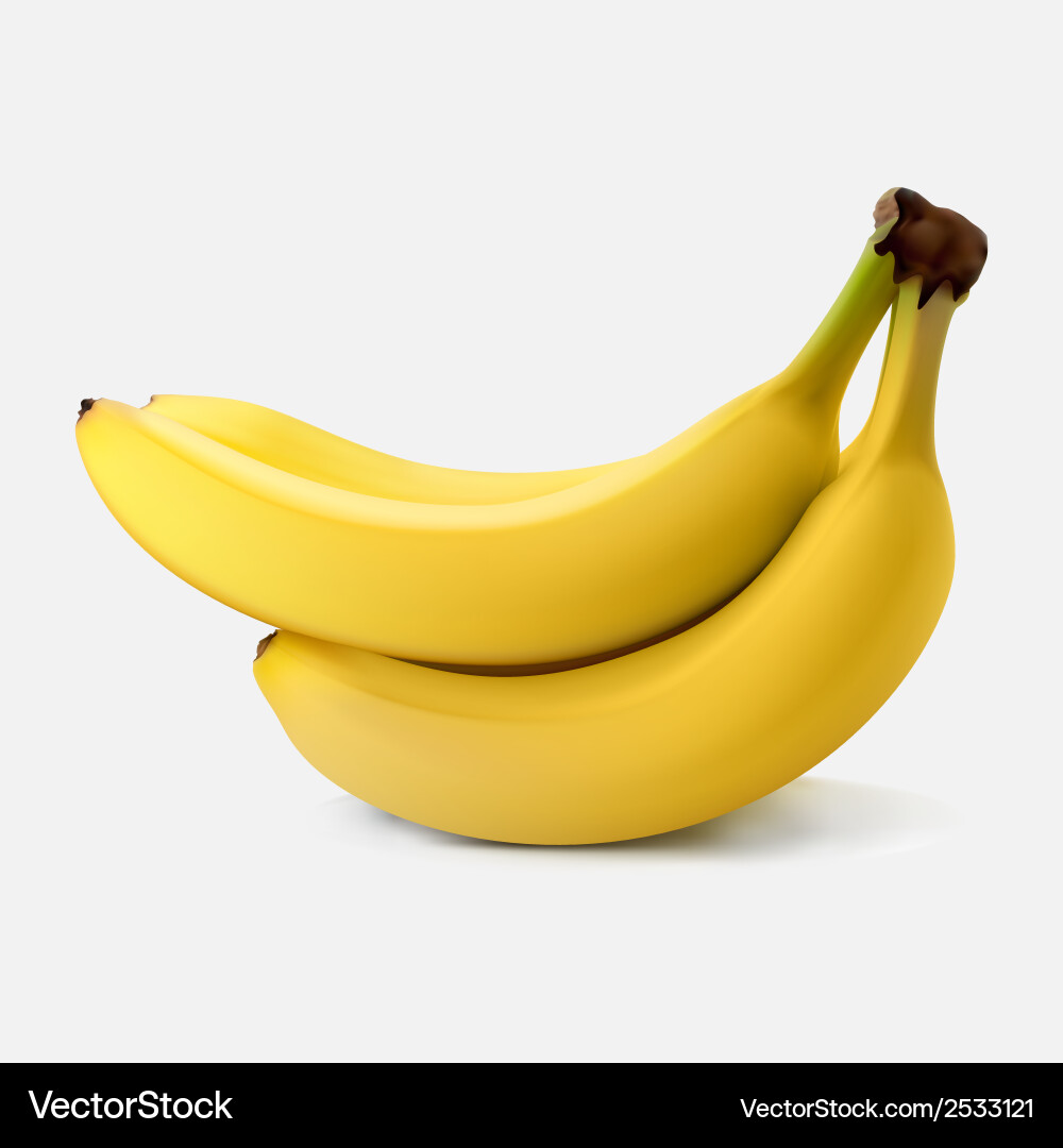 Bananas Royalty Free Vector Image - VectorStock