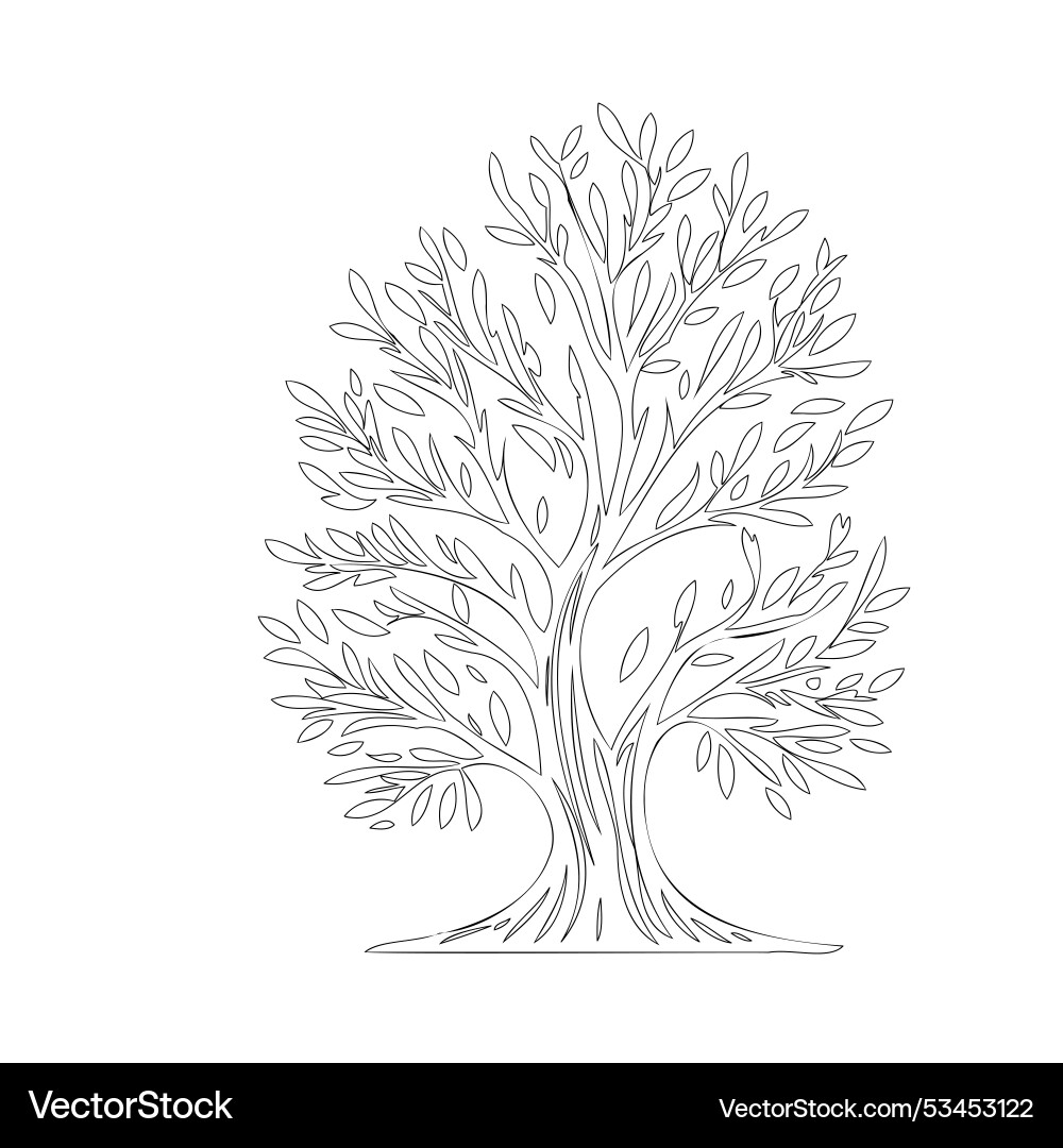 Willow tree nature outline sketch Royalty Free Vector Image