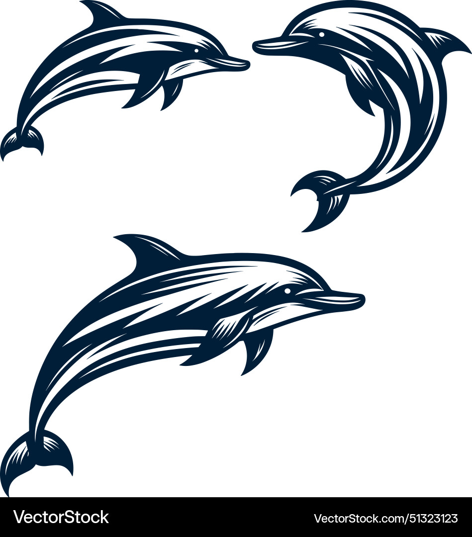 Graceful dolphins breaching the oceans surface Vector Image