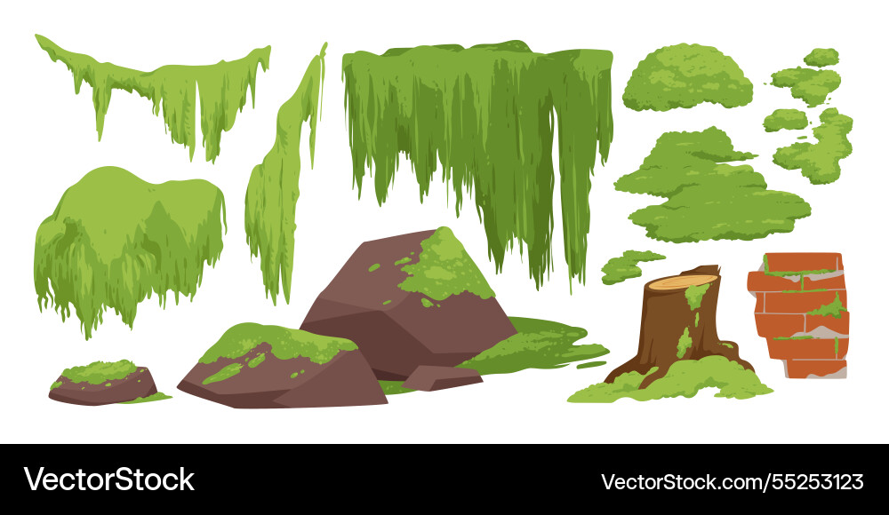 Green moss and lichen set swamp stump brick – Royalty-Free Vector ...